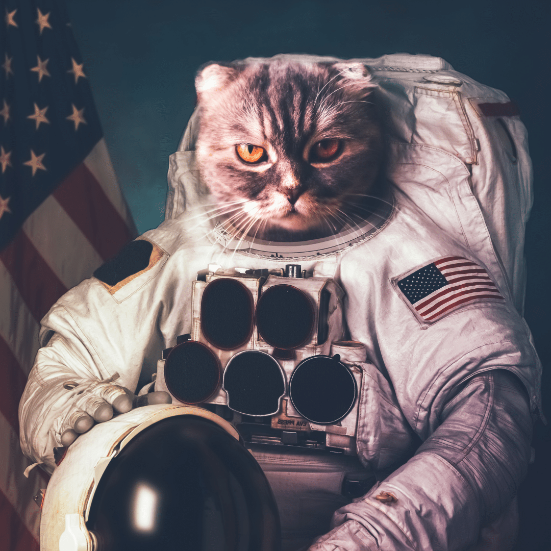 Cosmonaut Song, Anxiety, Tinnitus & Adaptability - Kristin Rivas