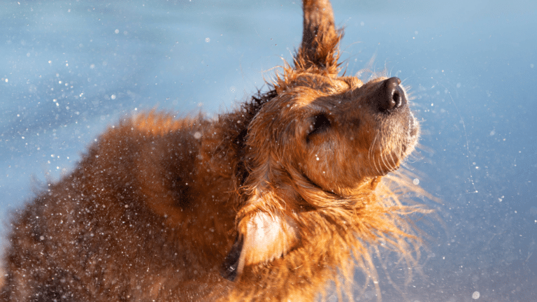 A Step By Step Guide To Managing Your Emotions - Kristin Rivas